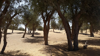 Dubai Desert Conservation Reserve – Rco.Bio: Real Company Biography